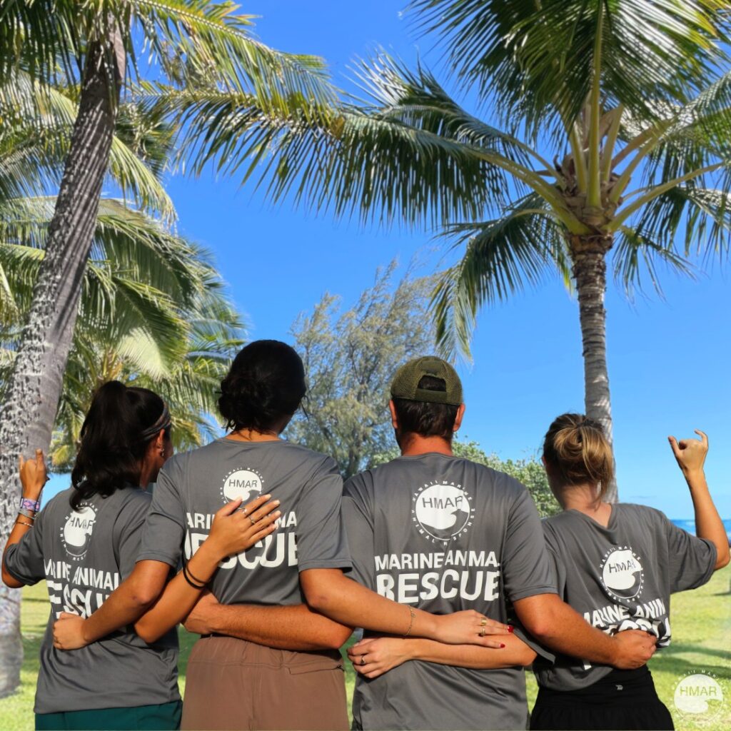 About Us | Mission | Hawai'i Marine Animal Response